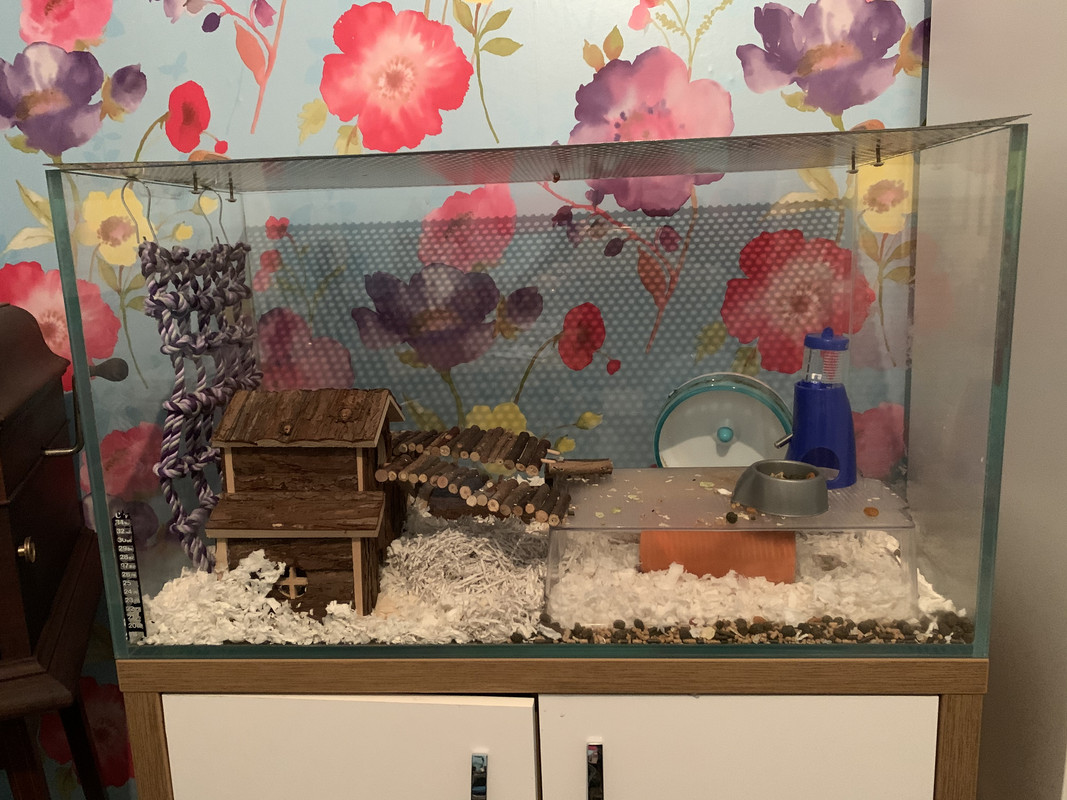 8 AB04529 76 E6 44 CE B030 EEC66776 B8 D1 — Postimages