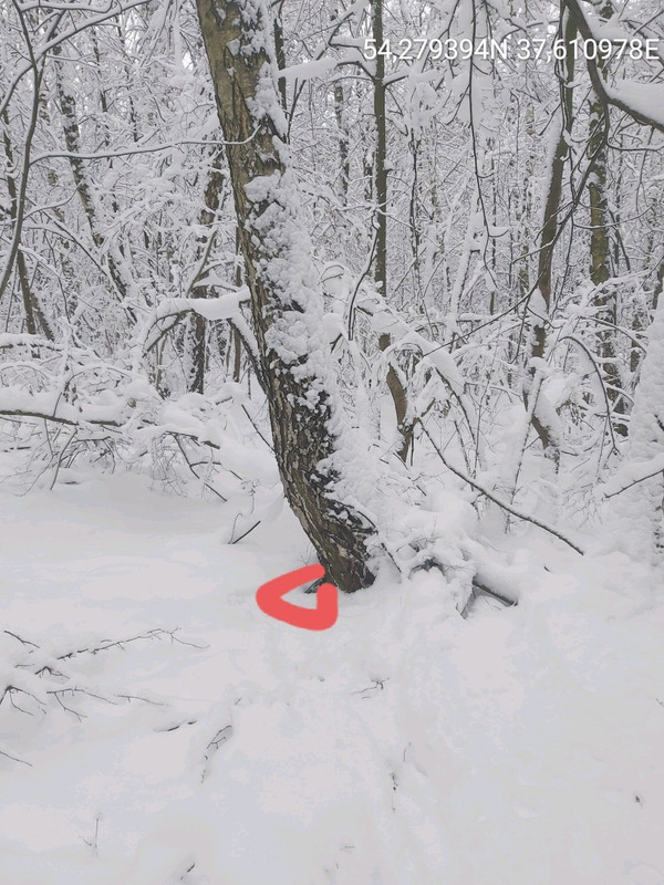 Time Photo 20221217 121928 — Postimages