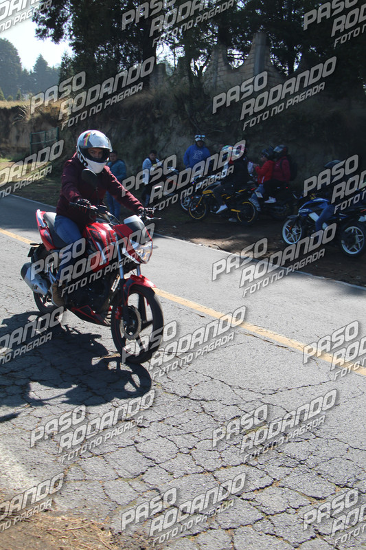 IMG 6432 wm 224096 1000000001 watermarked — Postimages