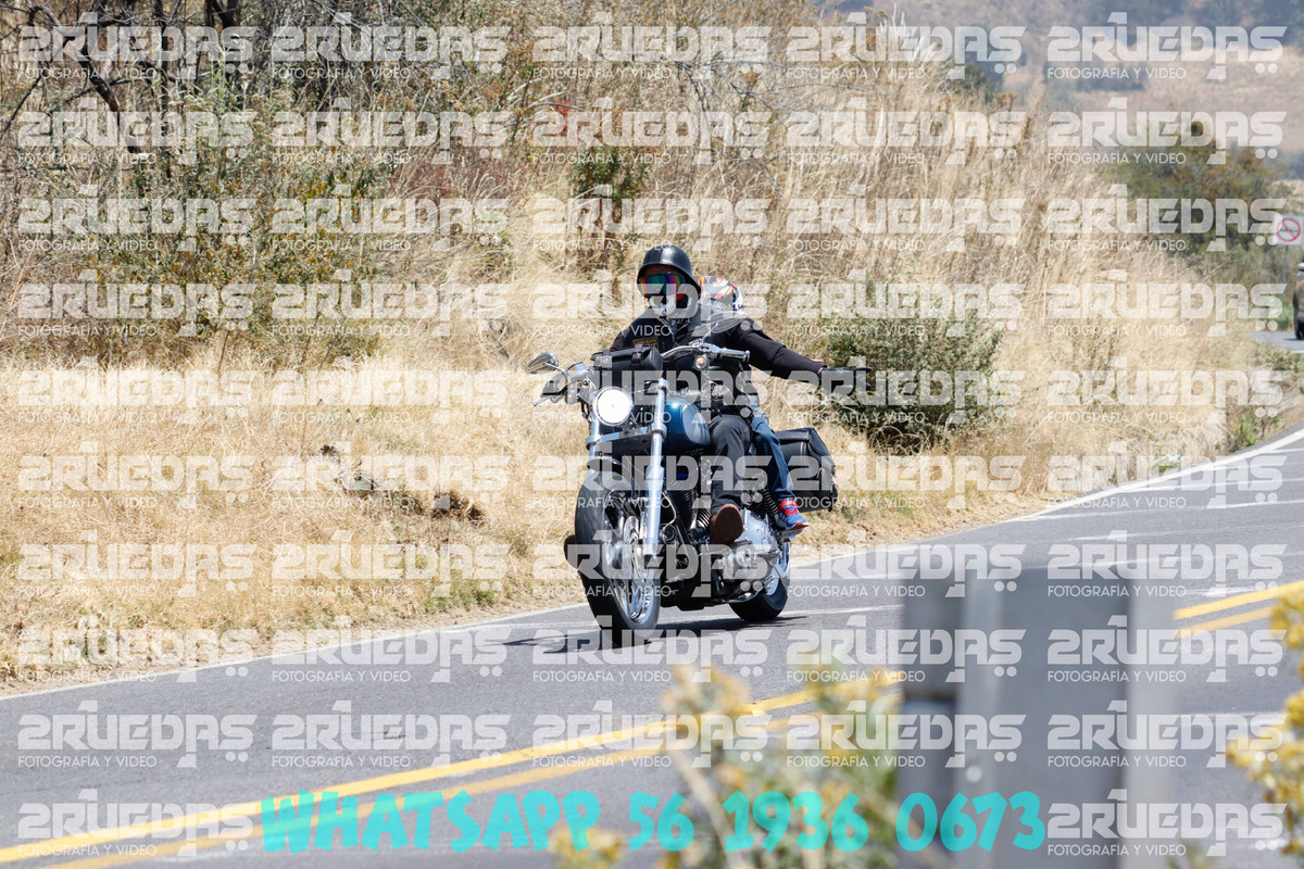 MG 1155 — Postimages