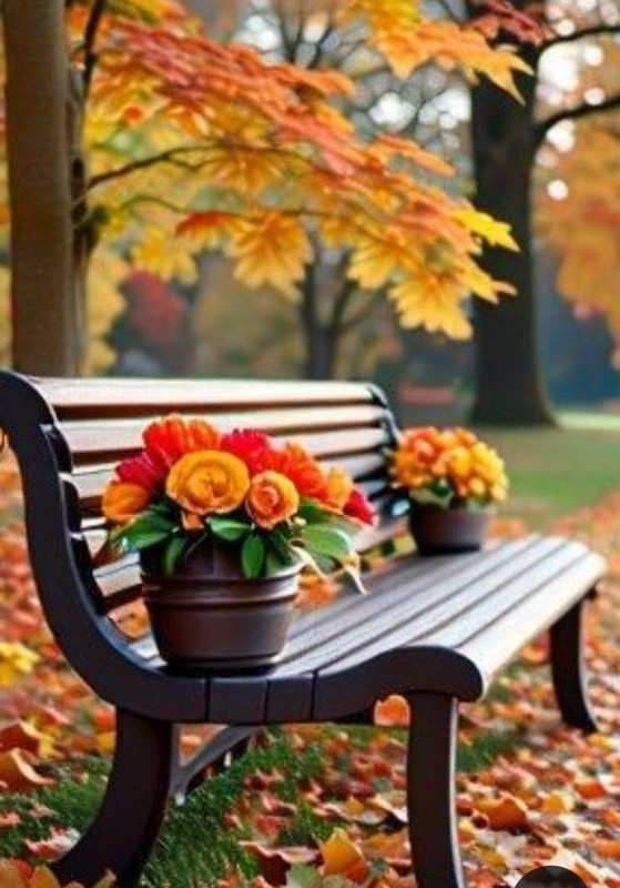 Screenshot 20231126 220345 Pinterest — Postimages