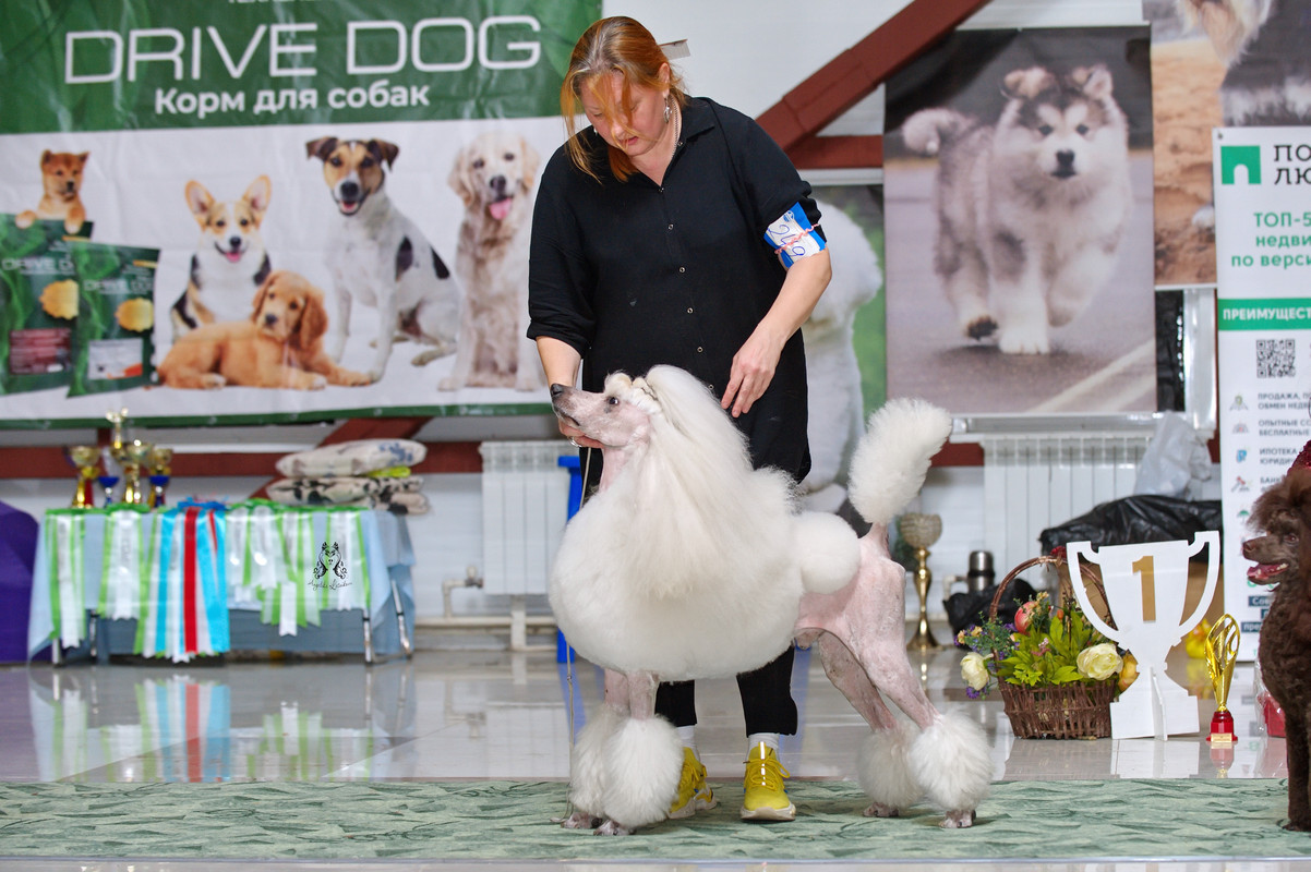 IMG 0101 — Postimages