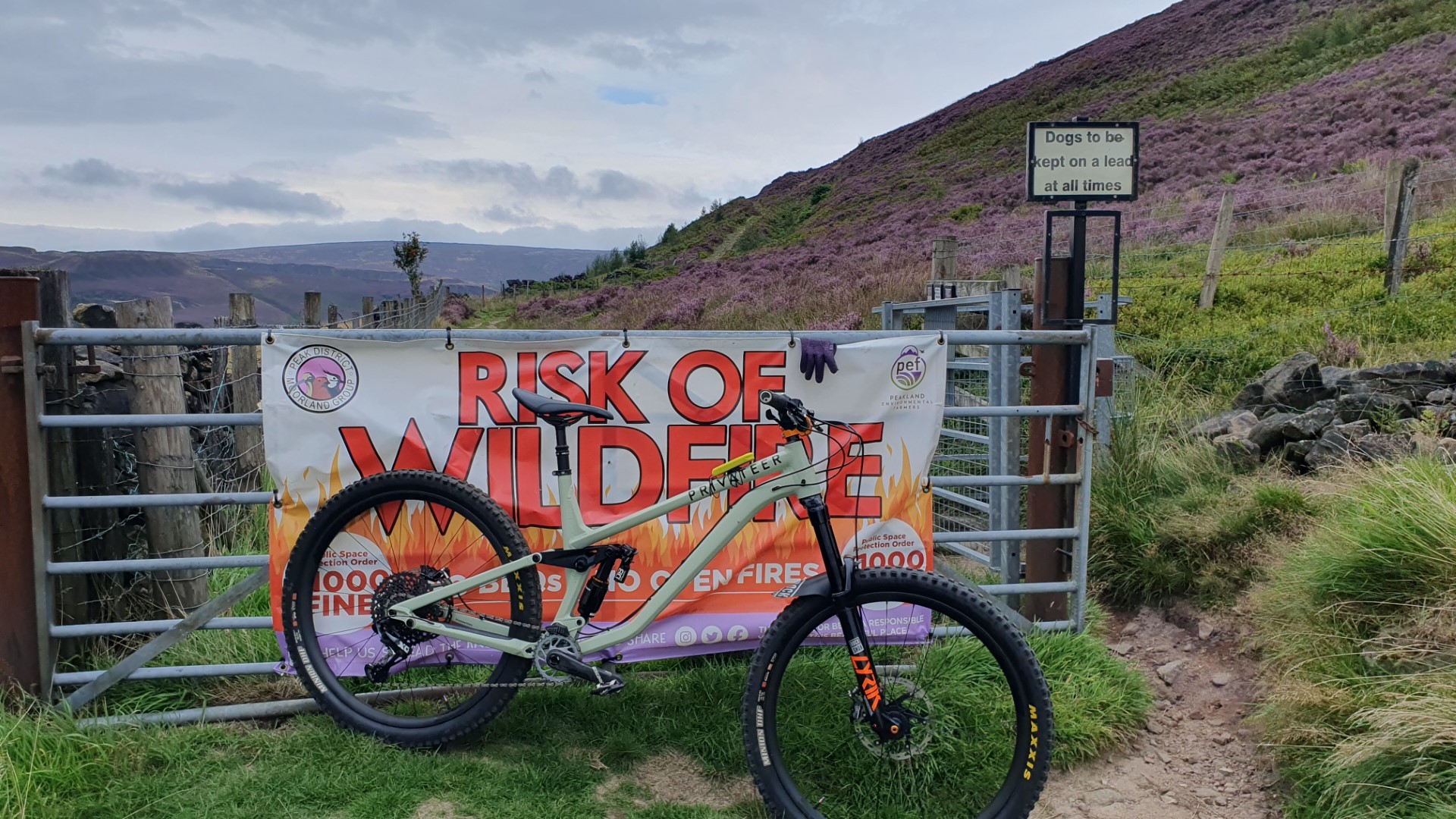 privateer 141 — Postimages