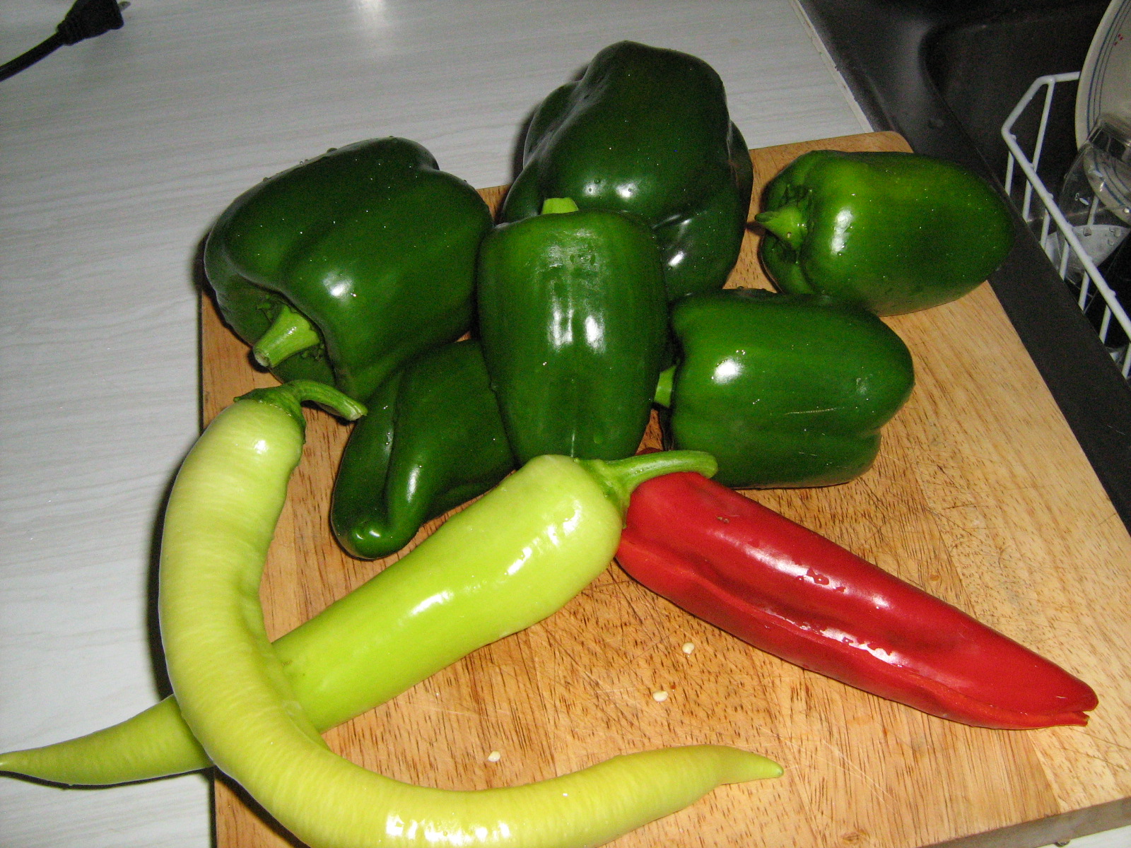 IMG 1836 — Postimages