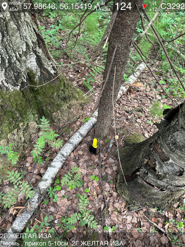 PERM 302 — Postimages