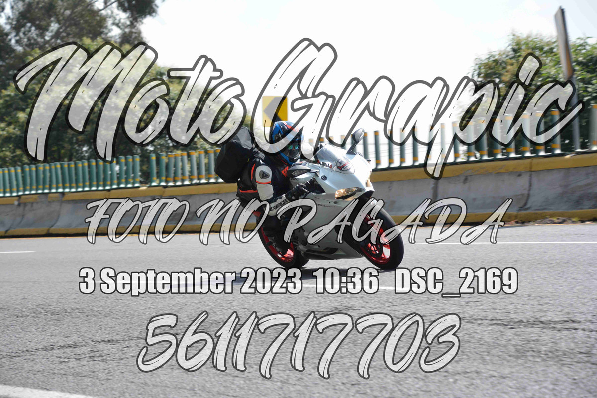 motgr DSC 2169 — Postimages