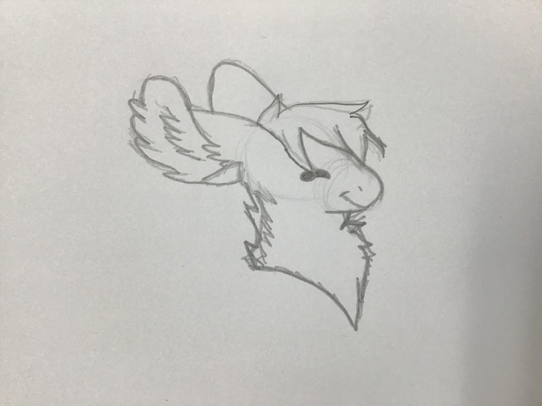 541 B2 DFC 94 FC 4771 B273 07 CB705 F7 A9 D — Postimages