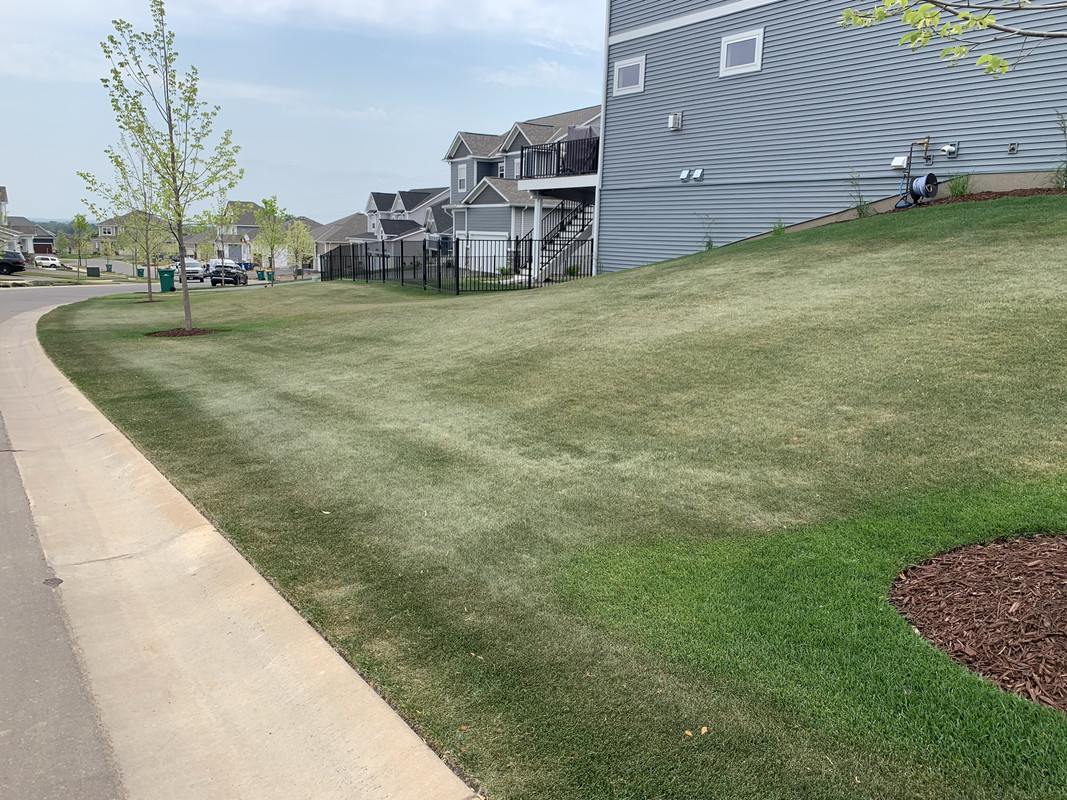 IMG 1801 — Postimages