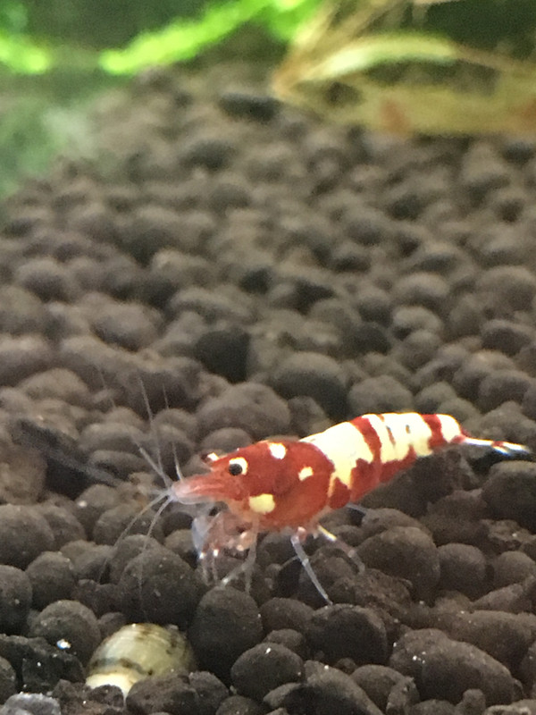 IMG 2030 — Postimages