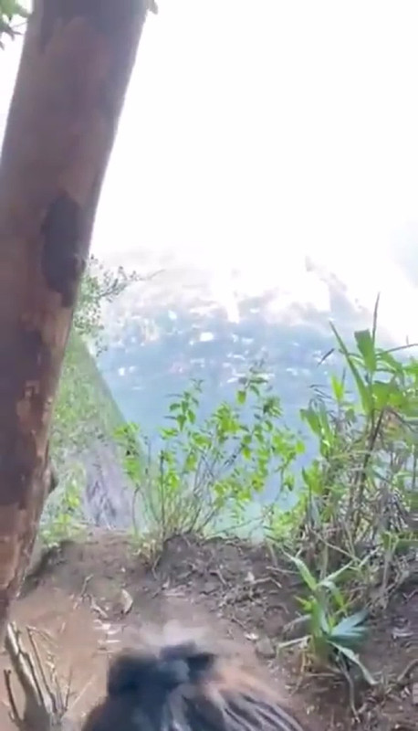 IMG 20240627 121947 911 — Postimages