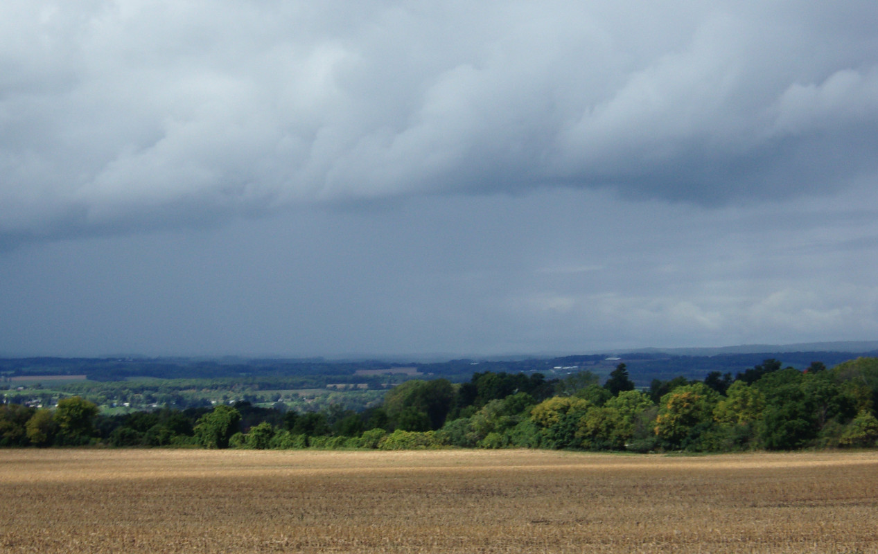 2022 Fall — Postimages