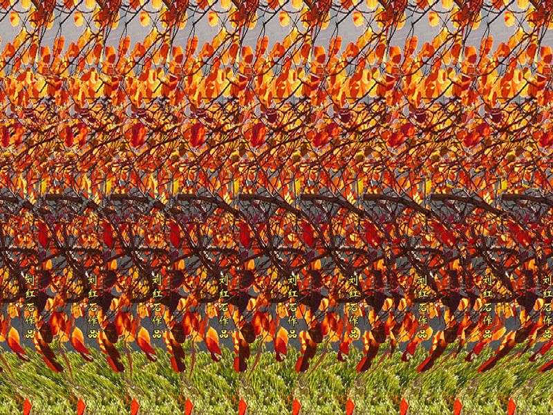 The Ultimate Stereogram Quiz - Test | Quotev