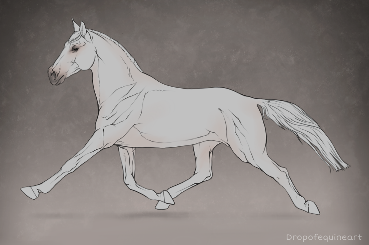 Dropofequineart DA 16k — Postimages