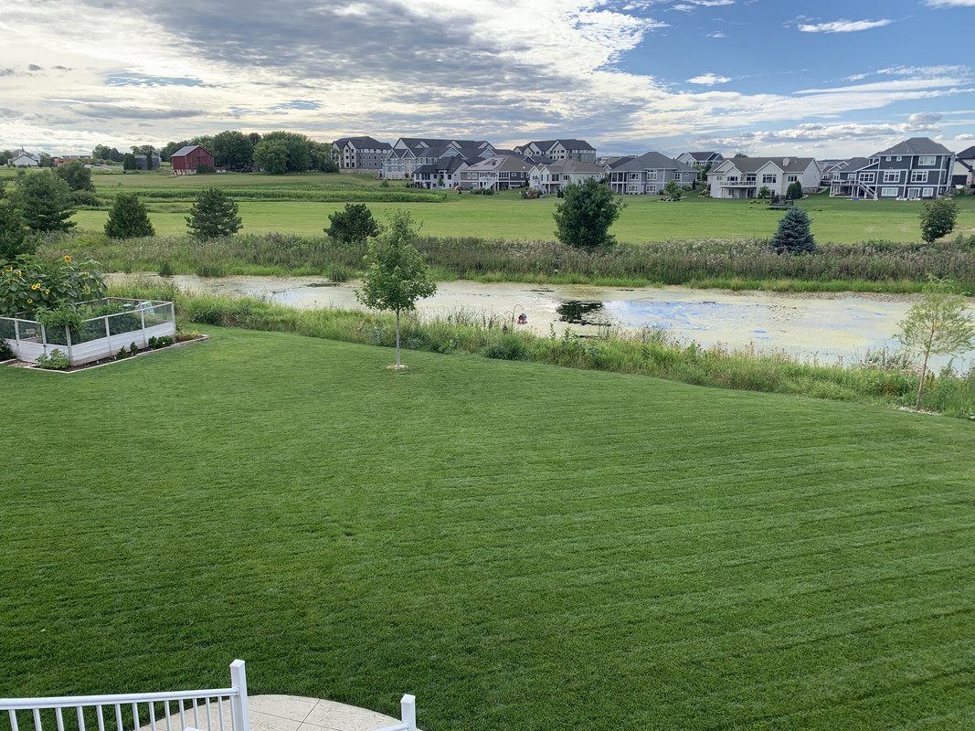 Backyard — Postimages