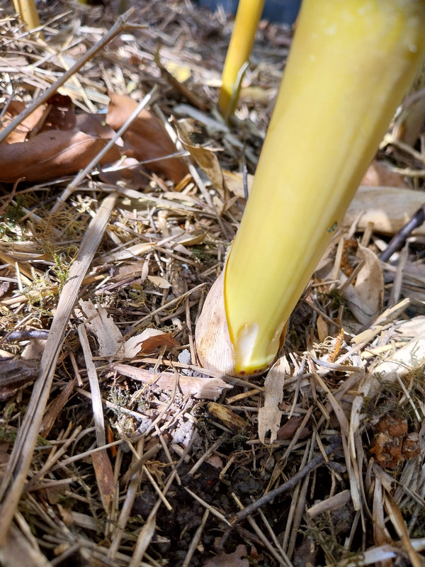 20240413 123400 — Postimages