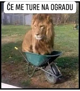 Smesne slike - Strana 262 - e-cigSerbia Forum