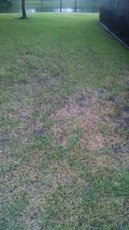 Side 2 — Postimages