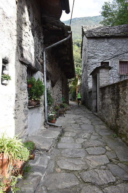 DSC 0485 — Postimages