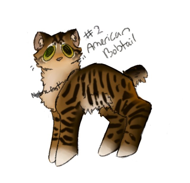Neptune’s Cat Adopts! :|: Lioden