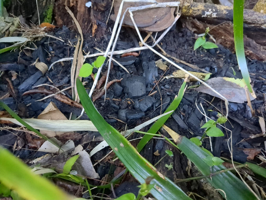 Imagepipe 2 — Postimages