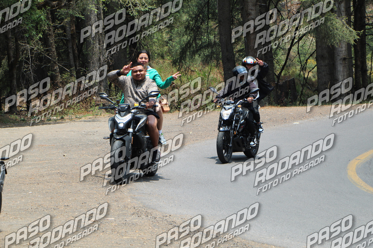 IMG 1213 wm 7393000 199999999 watermarked — Postimages