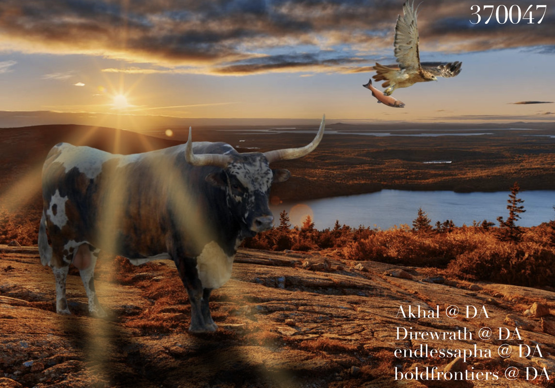 IMG 1461 — Postimages