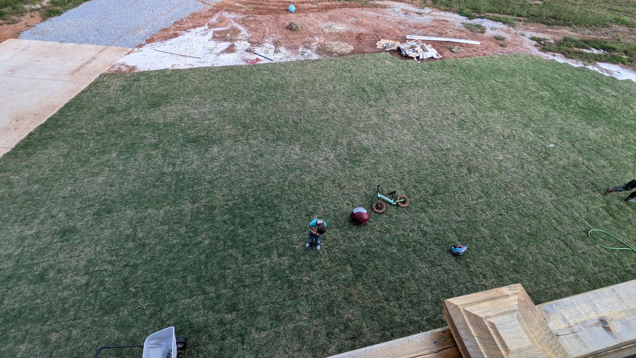 Armyworms Lawn — Postimages