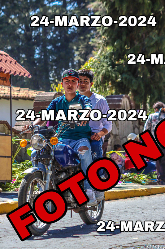 CV 141 — Postimages