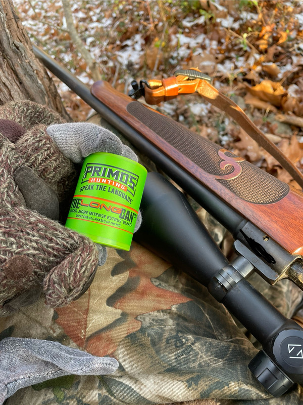 IMG 4096 — Postimages