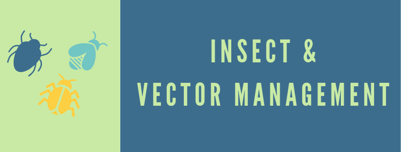 Insect and Vector Management | Richardson, TX