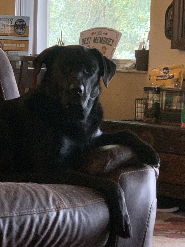 68253391776 009 AC4 F4 E482 494 A A3 EA 3 F7 ADE871165 — Postimages