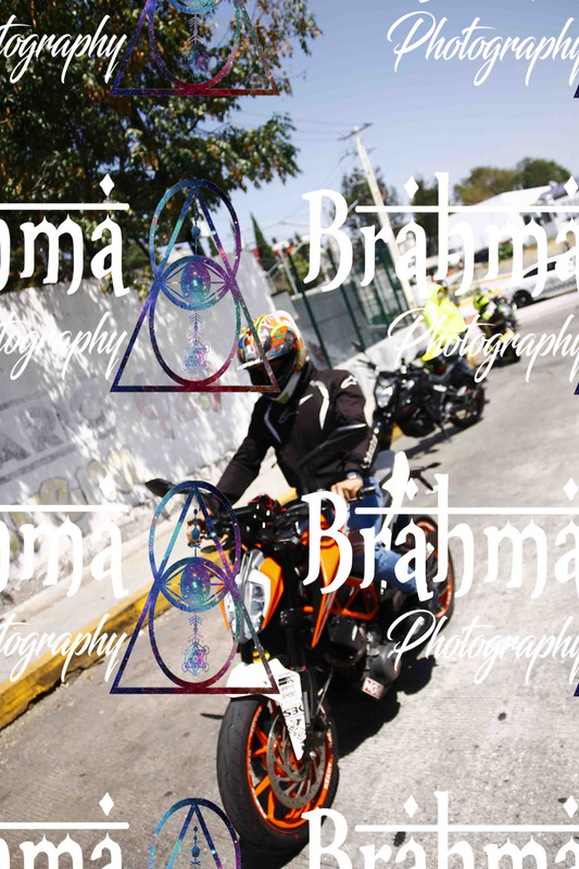 MG 3006 — Postimages