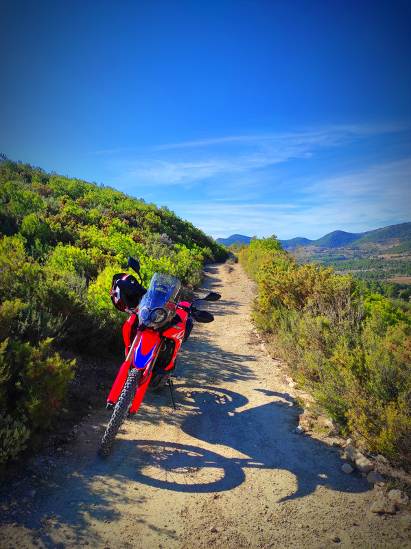 IMG 20240131 135555 — Postimages