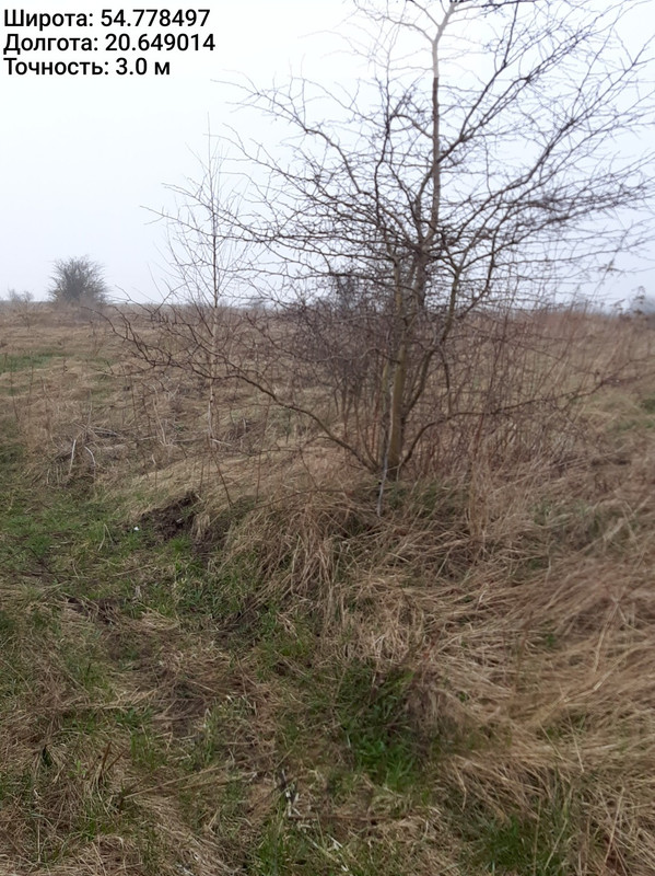 Imagepipe 35 — Postimages