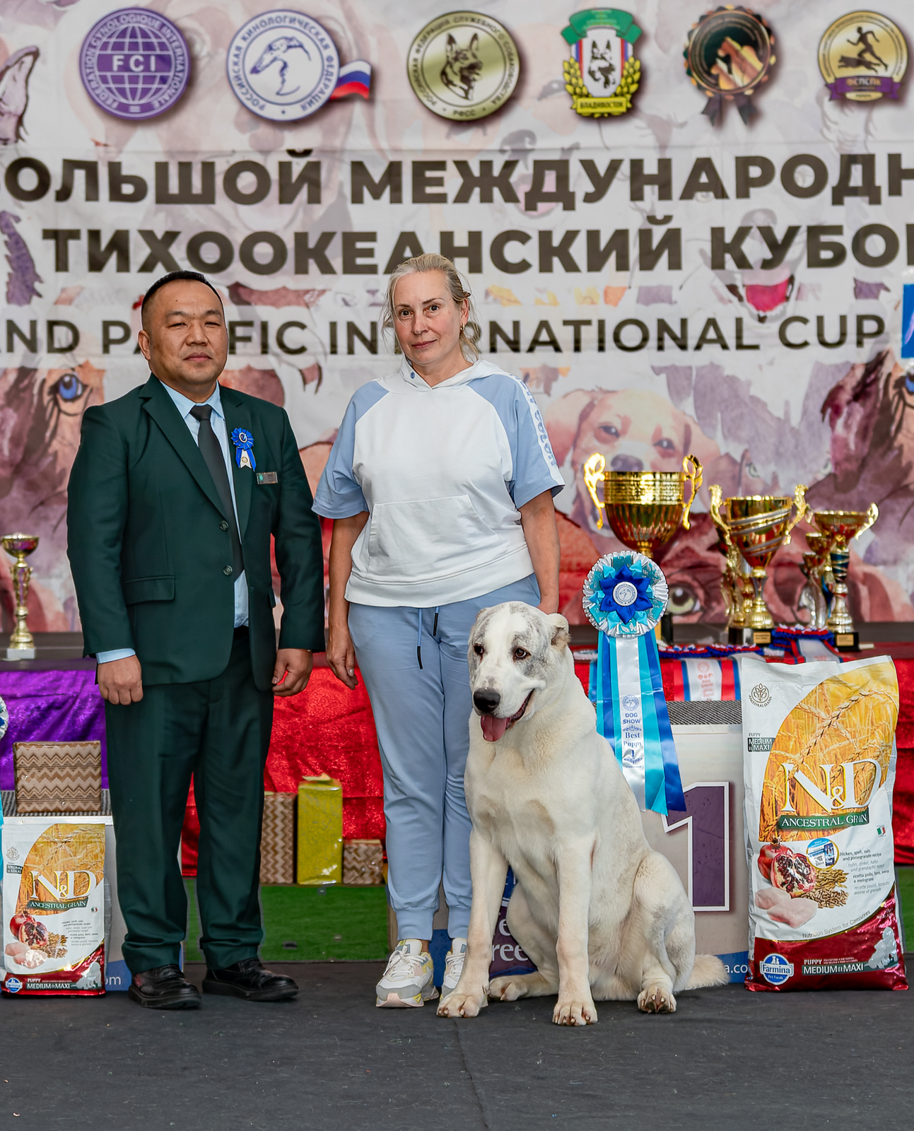 01 530 — Postimages