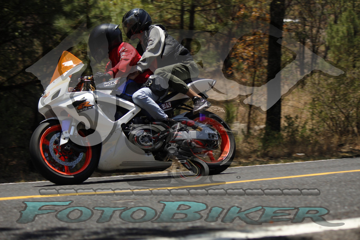 MG 0337 — Postimages