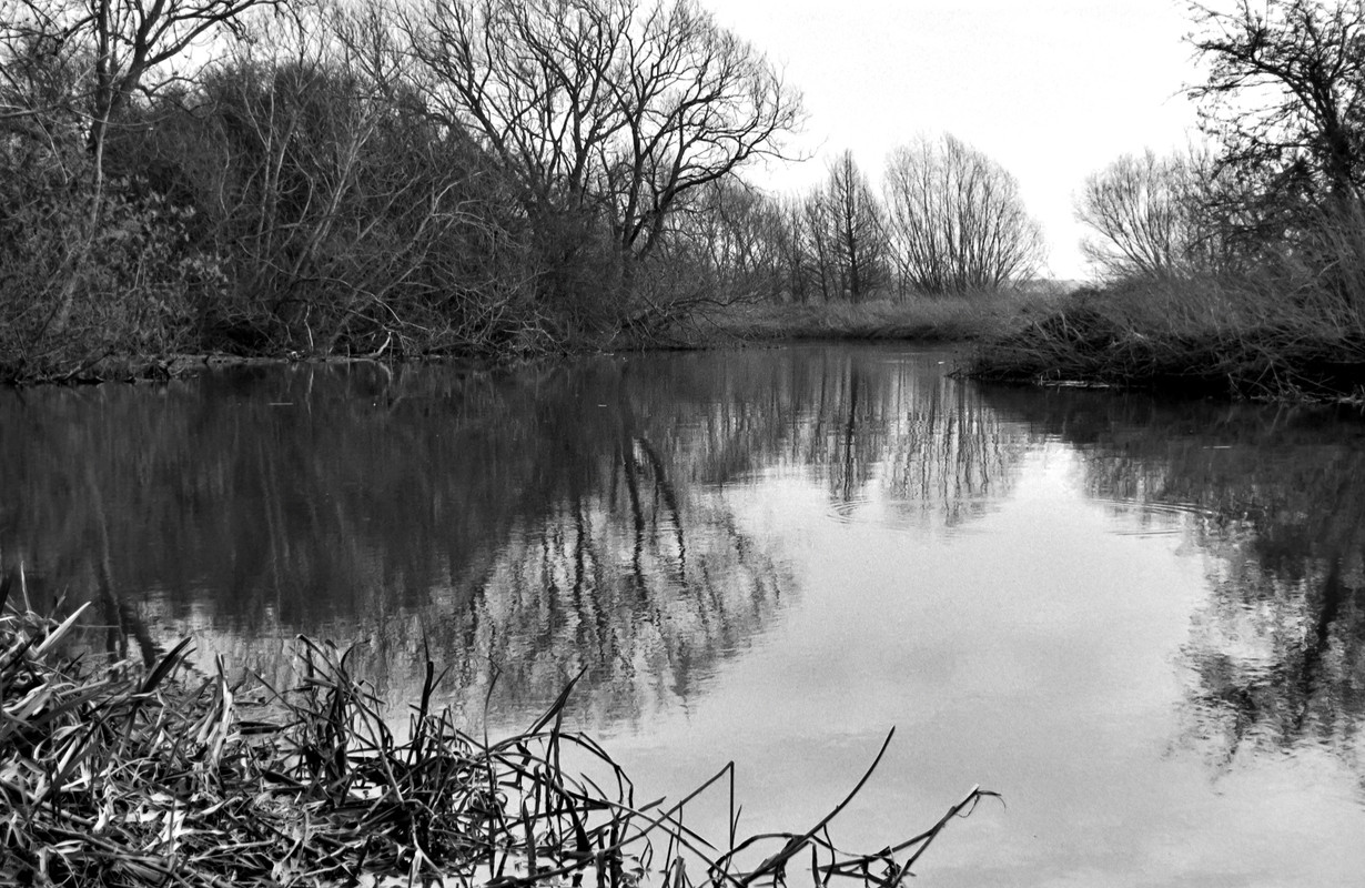 DSC 0123 — Postimages