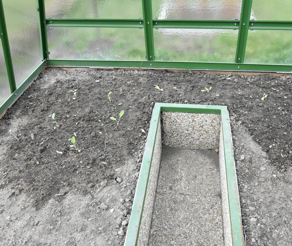 DSC 0252 — Postimages