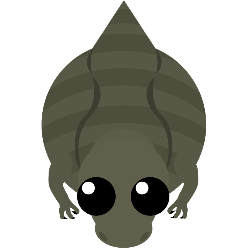 Compy — Postimages