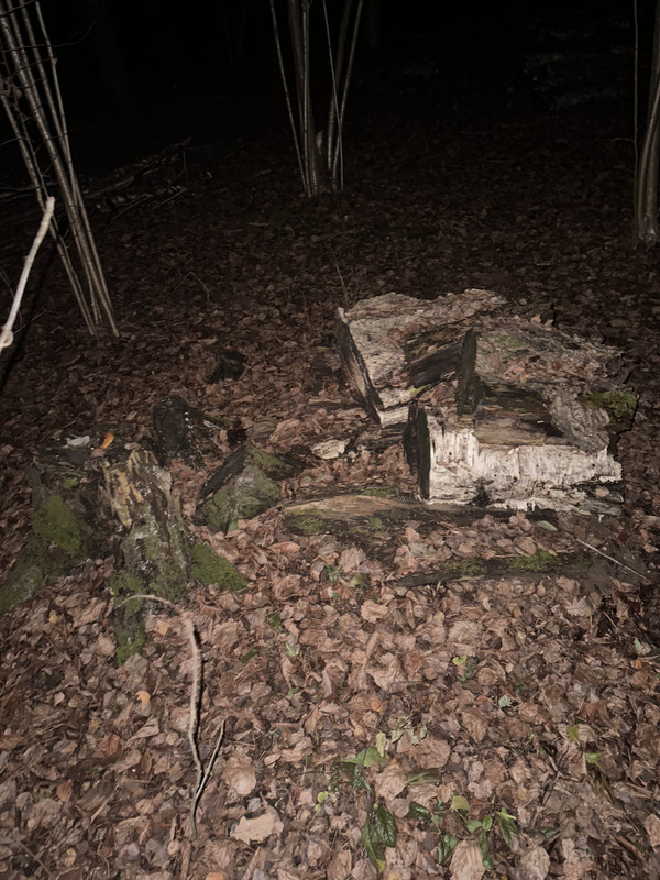 IMG 0269 — Postimages