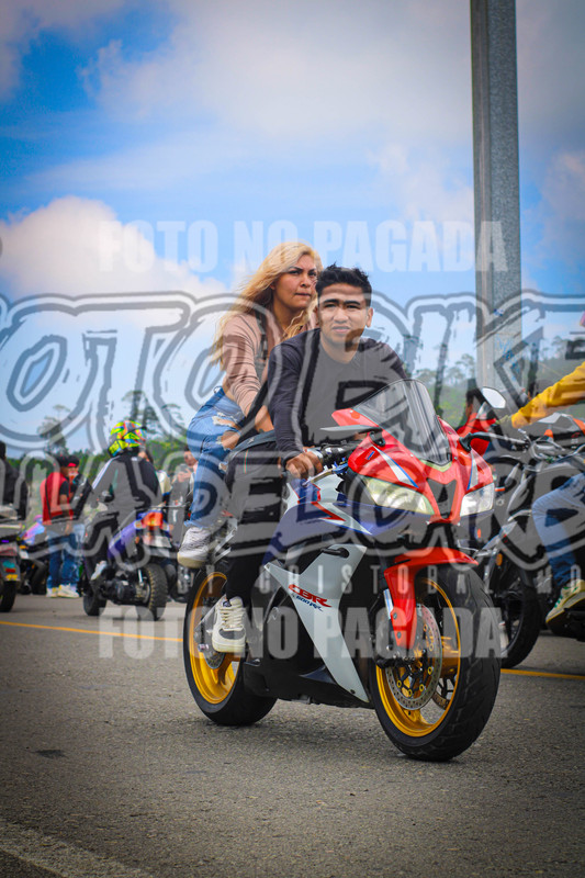 pal1s 1044 — Postimages