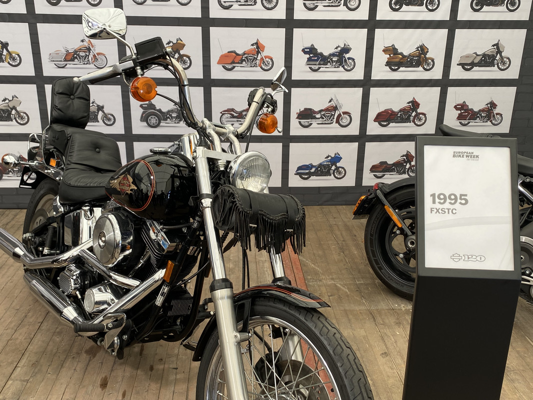 IMG 3689 — Postimages