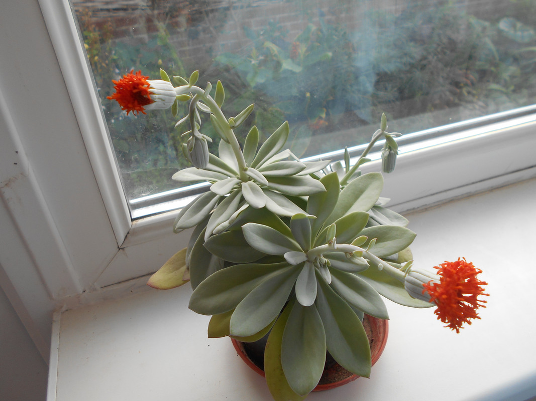 DSCN1314 — Postimages