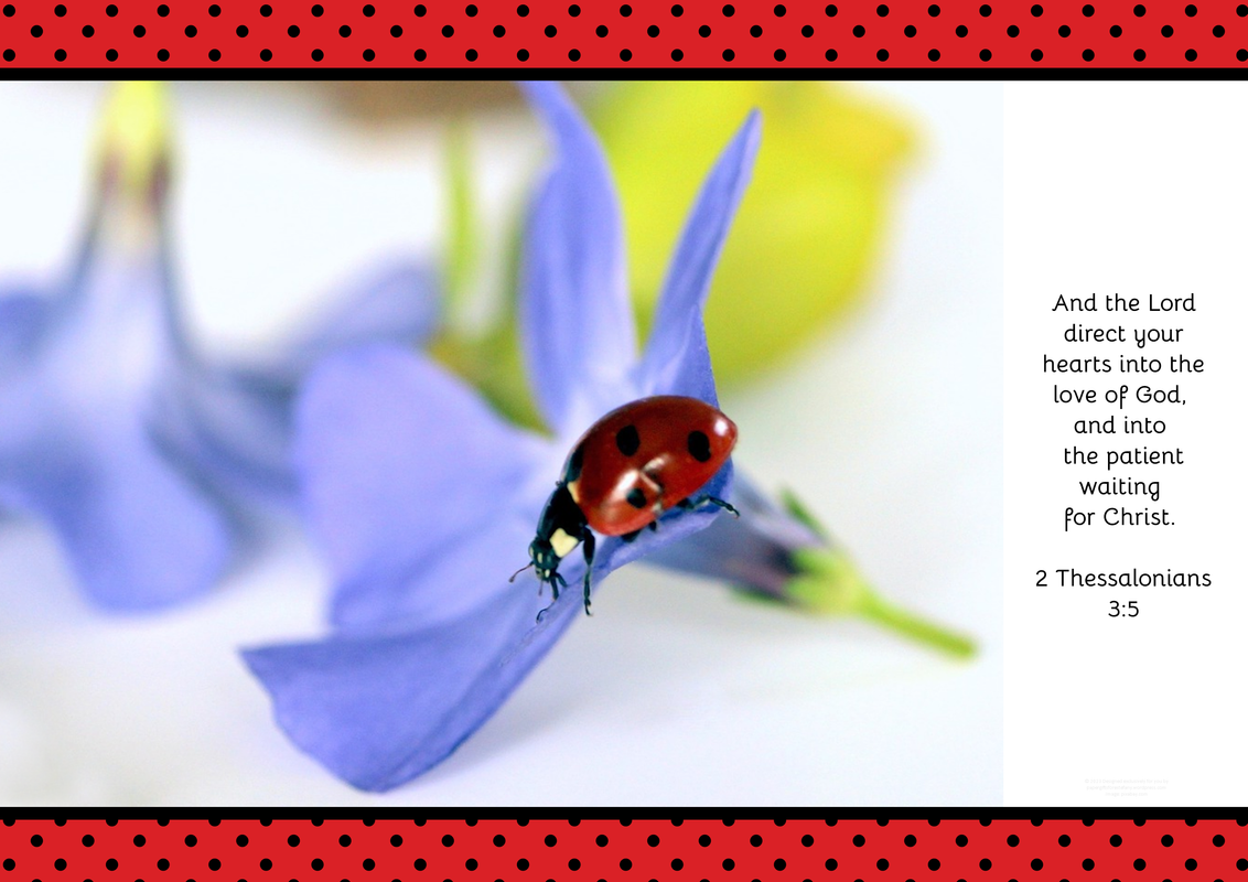 PGFE Ladybug Poster4 A4 — Postimages