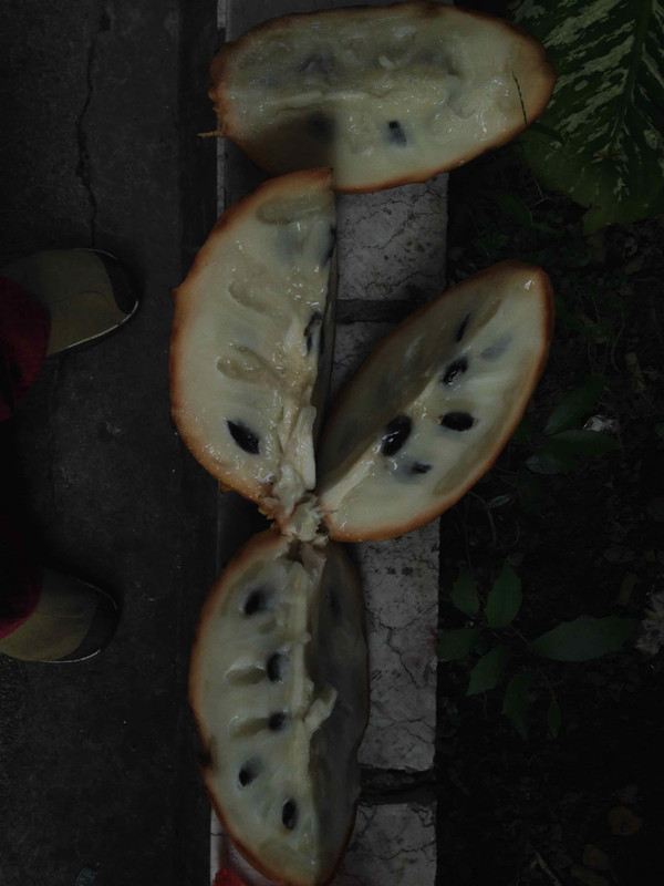 IMG 2555 — Postimages