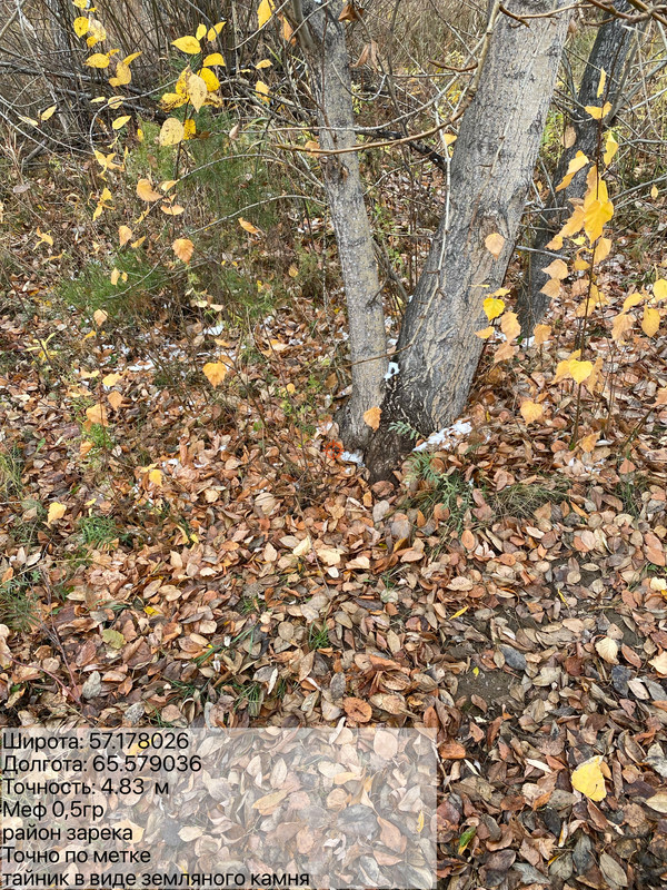 IMG 4560 — Postimages