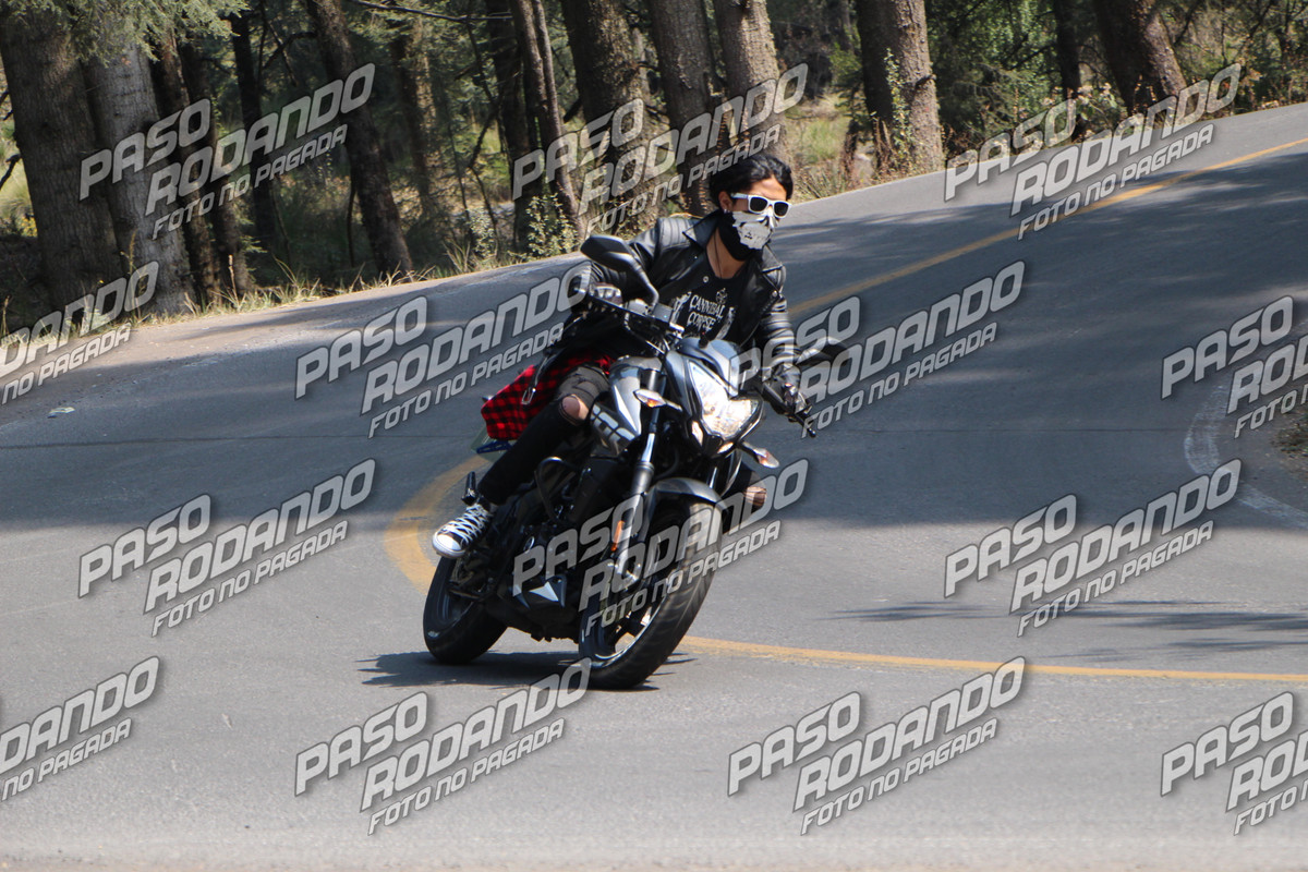 IMG 5293 wm 230751 49999999977 watermarked — Postimages