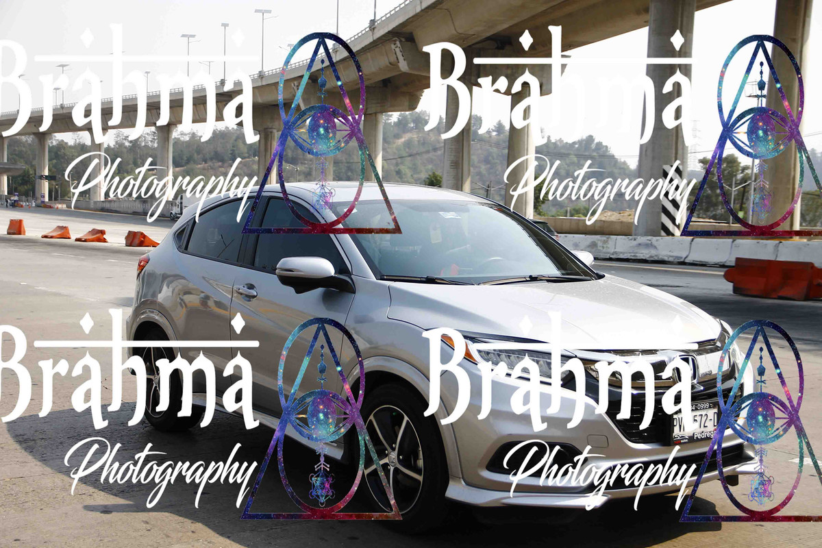 MG 1234 — Postimages