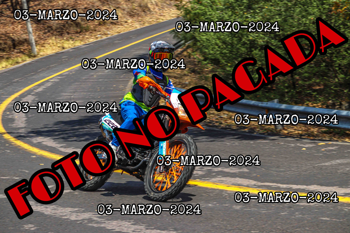 CA 1041 — Postimages