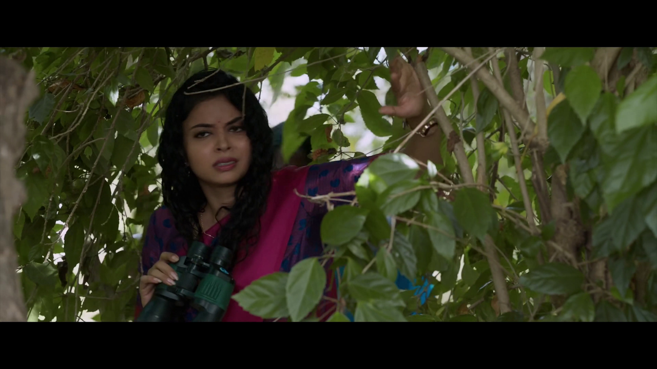 vlcsnap 2025 03 01 00h37m32s214 — Postimages